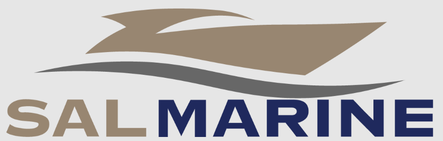 Buy Volvo Penta Paint Drive - Silver + Clear Varnish - VP889968 Online